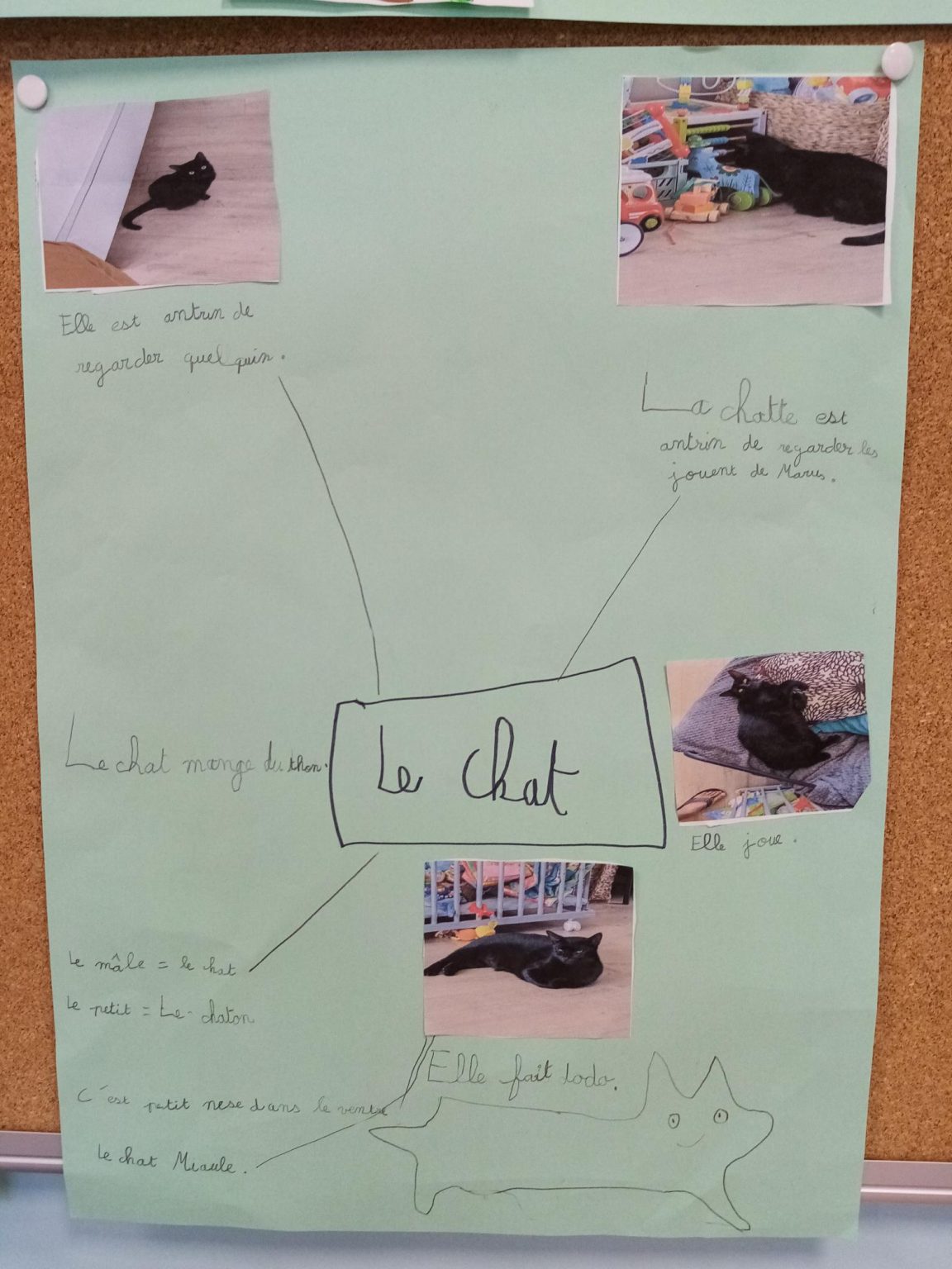 Premiers exposés en CP/CE1 | Ecole Saint Joseph